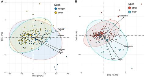 Understanding The Differences Between Autoencoder Ae And Variational