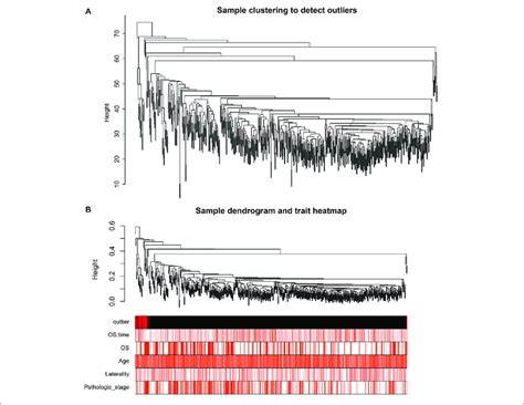 a sample clustering to detect outliers b sample dendrogram and