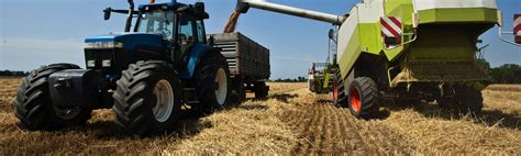 Scala® Fungicid Pentru Putregaiul Cenusiu