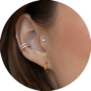 Exploring The Princess Albertina Piercing Placement Pros Cons And More