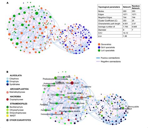 network of the normalized dataset 28 samples otus 50 reads based