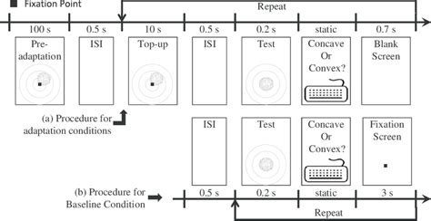 Experimental Procedures In The Actual Experiment Random Dot
