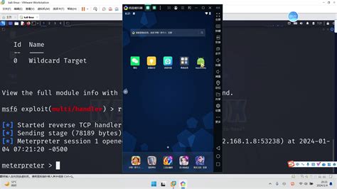 Kali与编程：黑客安全与网络攻防课（讲师答疑）哔哩哔哩bilibili