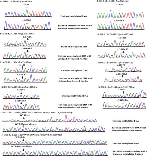 Sanger Sequencing Electropherogram Of Inactive Active Allele Of Med12 Download Scientific