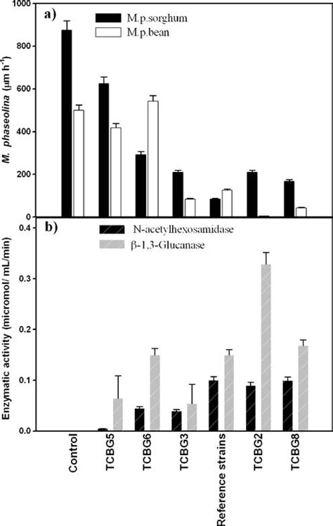 Relationship Between In Vitro Biocontrol And Hydrolytic Performance Of Download Scientific