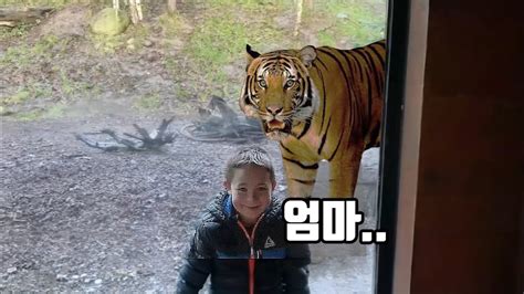 깨지기 3초 전 Youtube