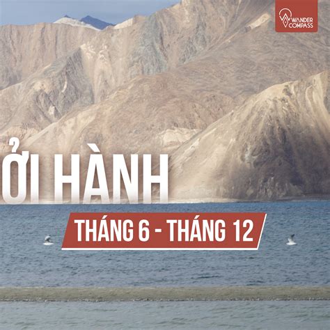 Wander Compass Thủ Đức