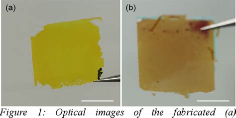 Figure 1 From Femtosecond Laser Direct Writing For Cross Linked Liquid Crystal Polymer