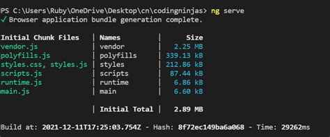 Bundle An Angular Application Naukri Code