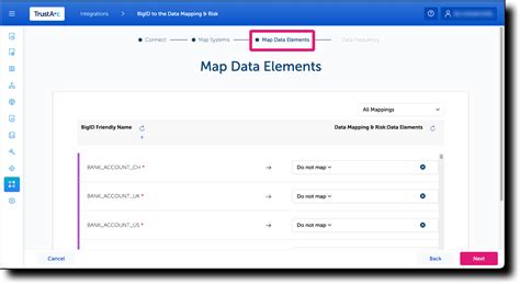Overview Mapping The Data Elements Bigid To Data Mapping And Risk