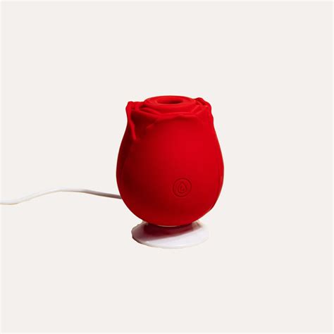 The 5 Best Sex Aids After Menopause Finding Solutions Berrylemon