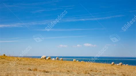 Landscape Blue Sky Scenic Map Lake Sheep Powerpoint Background For Free Download Slidesdocs Landscape Blue Sky Scenic Map Lake Sheep Powerpoint Background For Free Download Slidesdocs