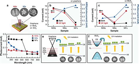 A Schematic Illustration Of A Flexible Uv Photodetector Based On The
