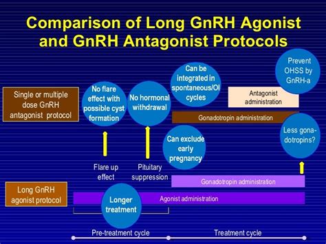 Agonists And Antagonists In Controlled Ovarian Stimulation