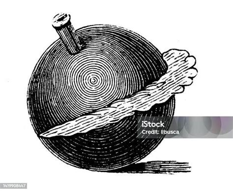 골동품 삽화 물리학 원리 및 실험 열과 온도 폭탄 내부의 얼음 형성 19세기에 대한 스톡 벡터 아트 및 기타 이미지 19세기