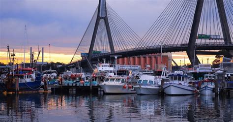 Photo Travel Chợ Cá Sydney Thiên đường Hải Sản Tươi Sống Nam Bán Cầu