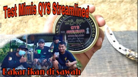 Test Mimis Qys Streamlined Bakar Ikan Disawah Seruu Guys Youtube