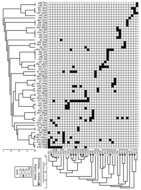 dendrogram of floristic similarity between bryophyte plots distributed