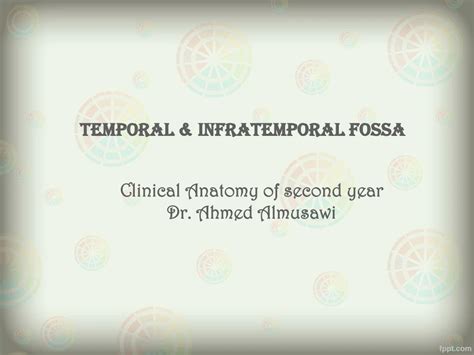 Ppt Temporal And Infratemporal Fossa Powerpoint Presentation Free Download Id 8821930