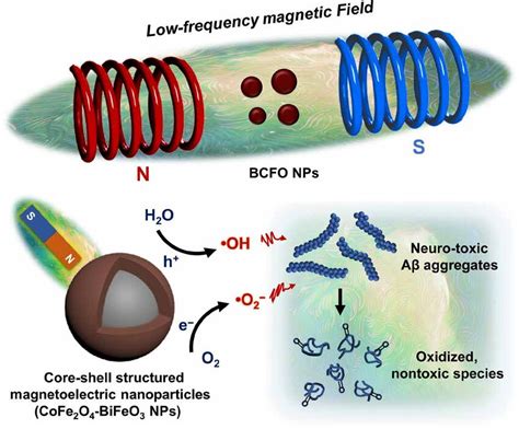 Synthesis And Characterization Of Bcfo Nanoparticles A Schematic