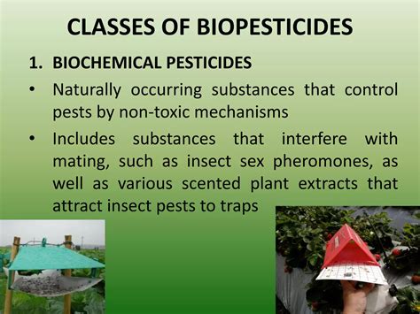 Biopesticides Pptx