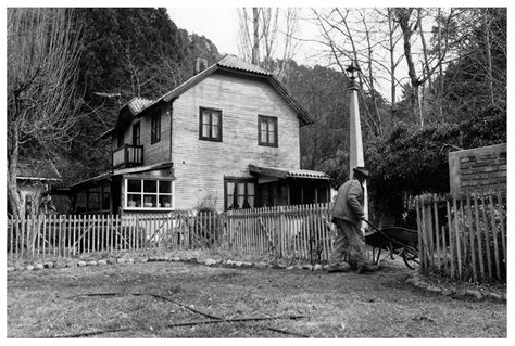 Portrait Behance Behance