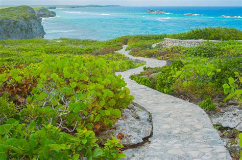 녹색 식물을 통해 캐리 빈 해변으로 콘크리트와 석재 경로 권선 절벽에 대한 스톡 사진 및 기타 이미지 절벽 터크스 앤드 케이커스 제도 0명 Istock