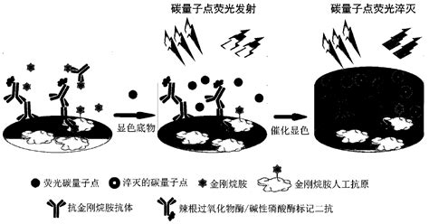 Fluorescence Immunoassay Method Based On Carbon Quantum Dots Eureka Patsnap