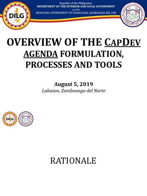 Overview Of The Capdev Process Pdf Capacity Building Risk