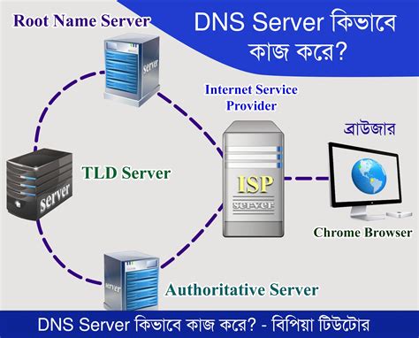 Dns সার্ভারের আদ্যপান্ত । কিভাবে ডিএনএস সার্ভার ডোমেইন নেইম থেকে আইপি