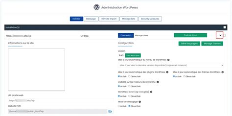 Comment Accéder Au Wordpress Manager De Cpanel Lws