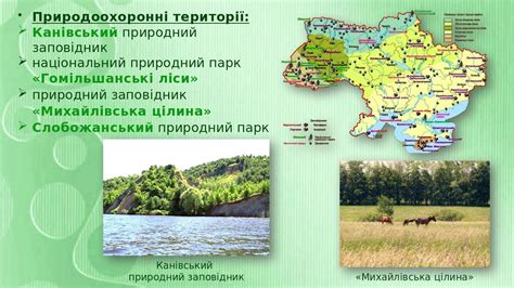 Презентація з географії 8 клас Лісостепова зона України Презентація Географія