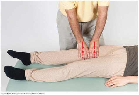 Active Range Of Motion Testing Active Range Of Motion Testing