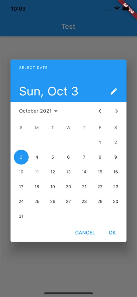 Flutter 「datepicker」の使い方 ちょげぶろぐ