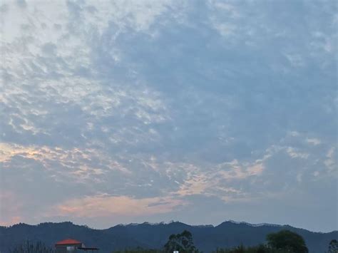 复习之v Model指令（双向数据绑定指令） 知乎