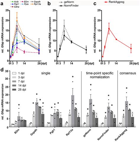 Influence Of Different Normalization Strategies For Accurate