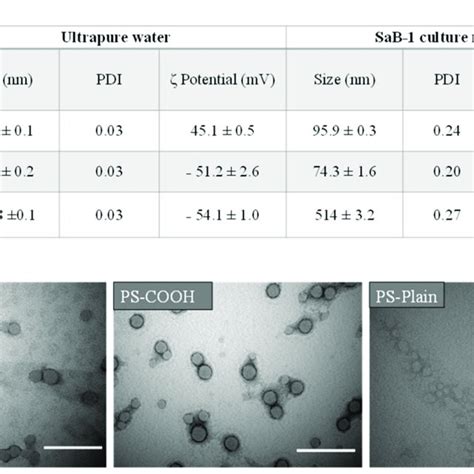 Characterization Of The Functionalized Polystyrene Ps Nanoplastics Download Scientific