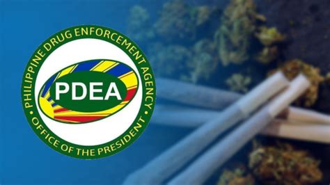 Pdea Ncr Chief Axed Agents Caught In Sting Inquirer News