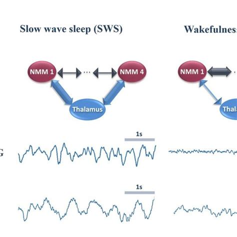 Comparison Of Real And Simulated Intracerebral Eeg Ieeg Toy Model N