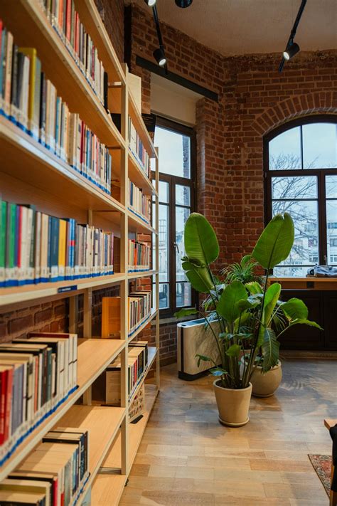 가구 가벼운 가정 다운 건축 고요한 공부하다 교육 도서관 도서관 방 도시 경관 도시의 독서 공간 독서하는 러스틱 문학 벽돌 벽돌 벽 서적