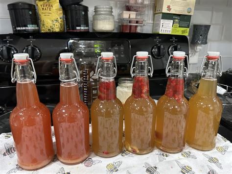 Raspberry Ginger Lemonade Going Into F2 R Kombucha