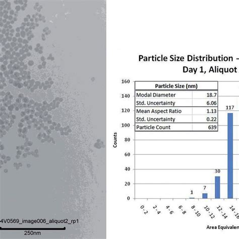 Tem Image And Particle Size Distribution Obtained From One Laboratory Download Scientific