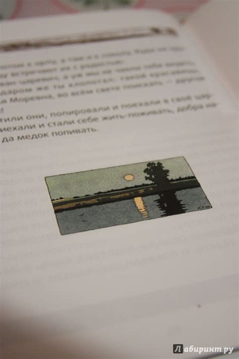 Книга: Царевна-Лягушка - . Купить книгу, читать рецензии | Лабиринт