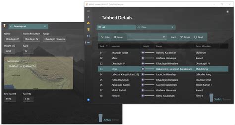 Winui 3 Xaml Brewer By Diederik Krols
