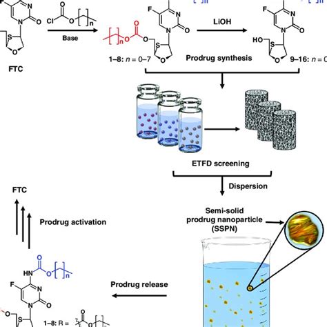 Schematic Overview Of Long Acting Semi Solid Prodrug Nanoparticle