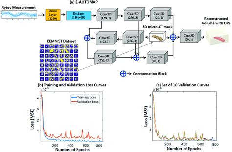 A The Proposed Z Automap Architecture It Consists Of A Download