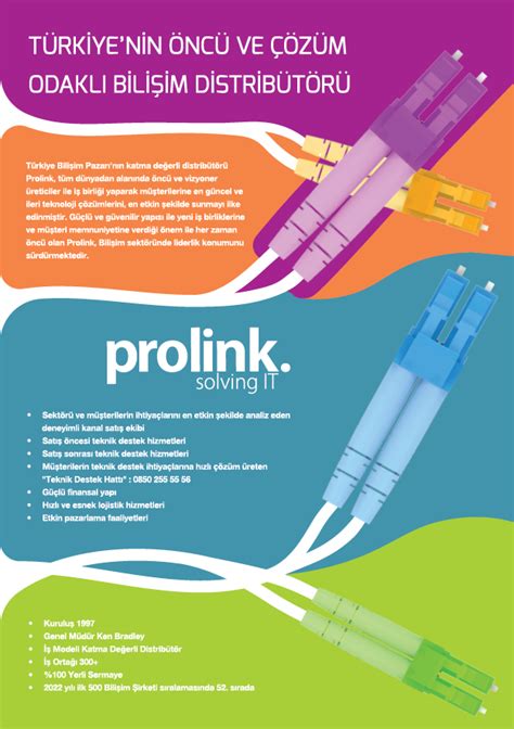 Prolink Cyber Security Firewall Network And Data Security And Products Brochure