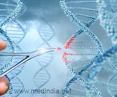 Surprising Molecular Pattern In Fragile X Syndrome Revealed