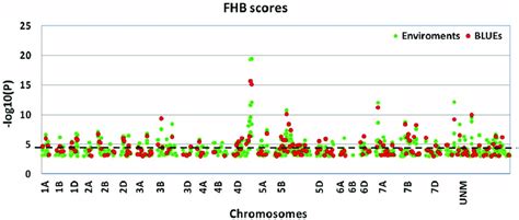 Manhattan Plots Of Marker Trait Associations For Fhb Resistance The