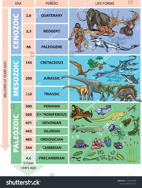 geology time scale over 51 royalty free licensable stock vectors